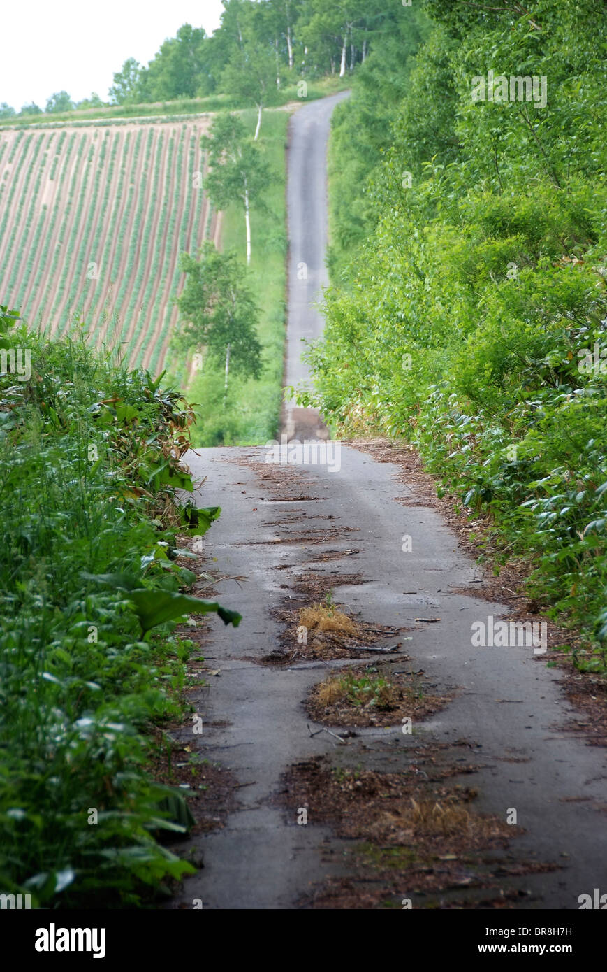 Road with slope hi-res stock photography and images - Alamy