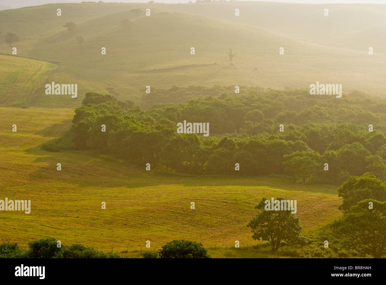 Ranch in the morning Stock Photo - Alamy