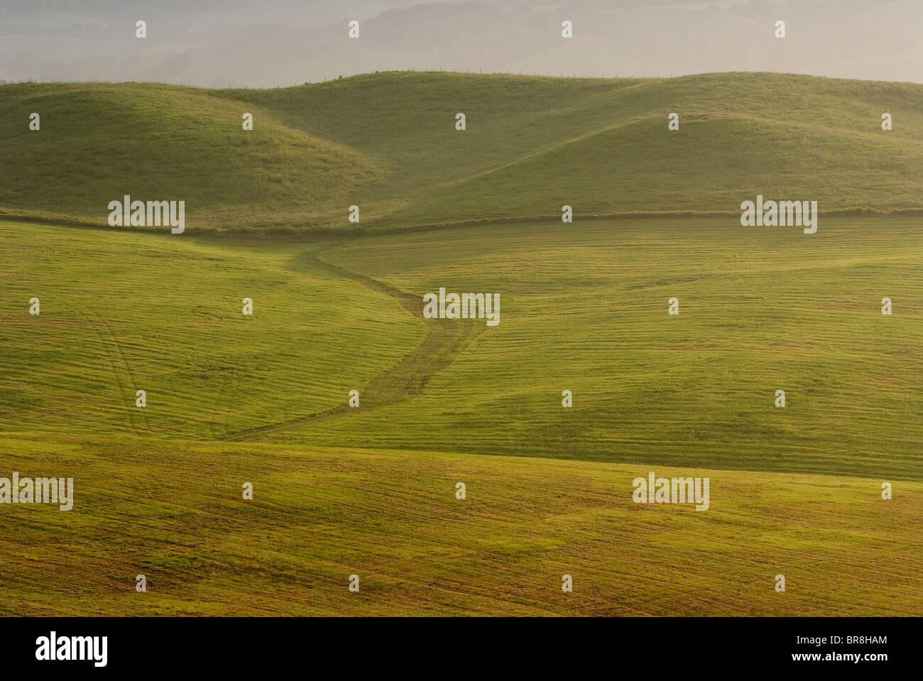 Ranch in the morning Stock Photo - Alamy
