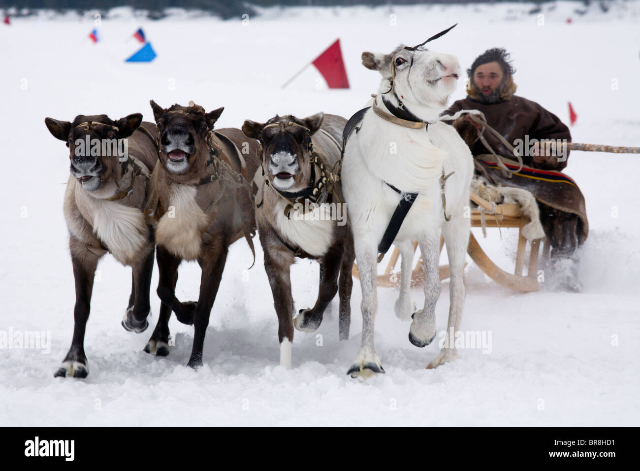 Native siberia hi-res stock photography and images - Alamy