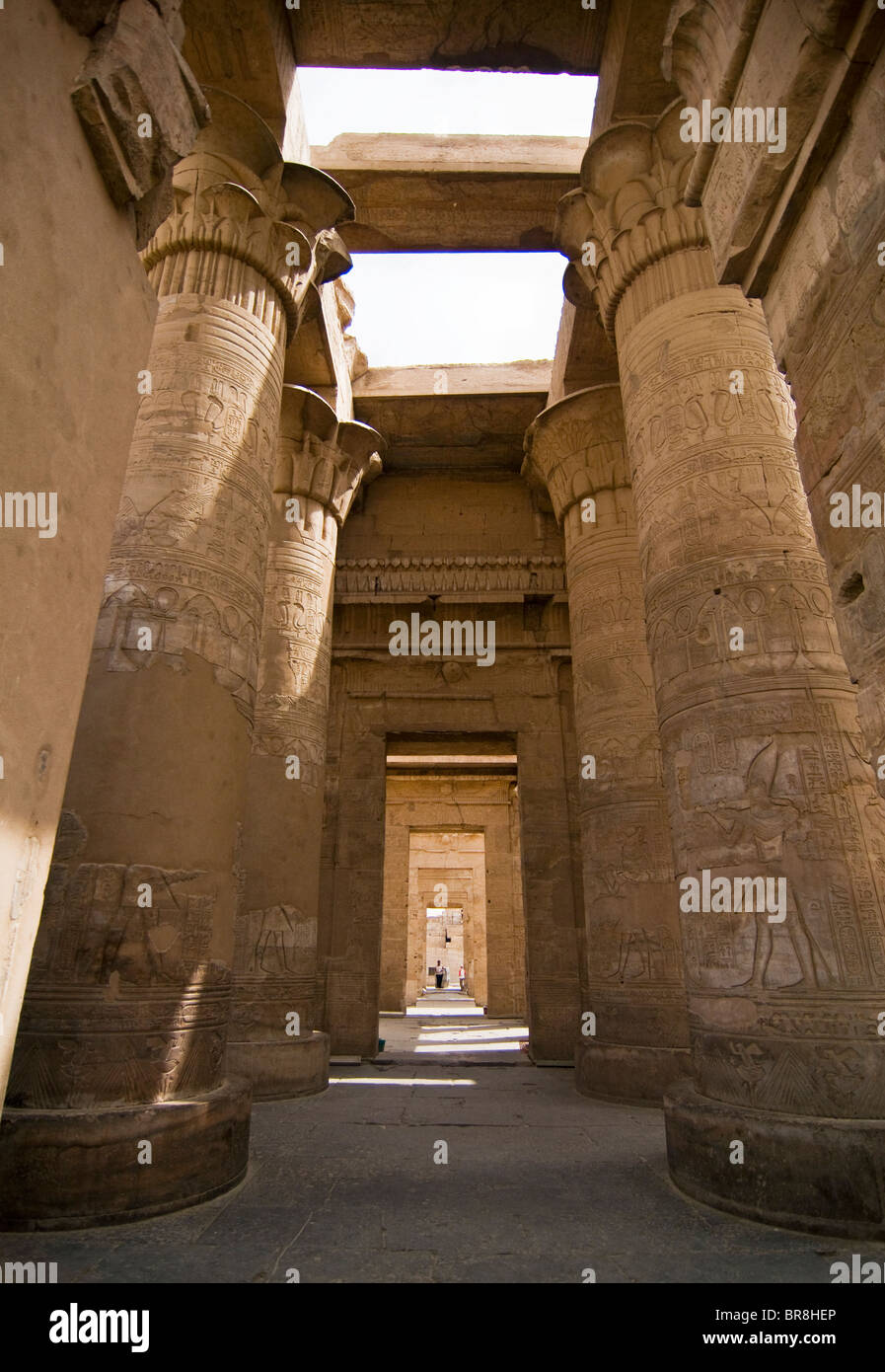 giant columns in the Kom Ombo Temple in Upper Egypt Stock Photo - Alamy