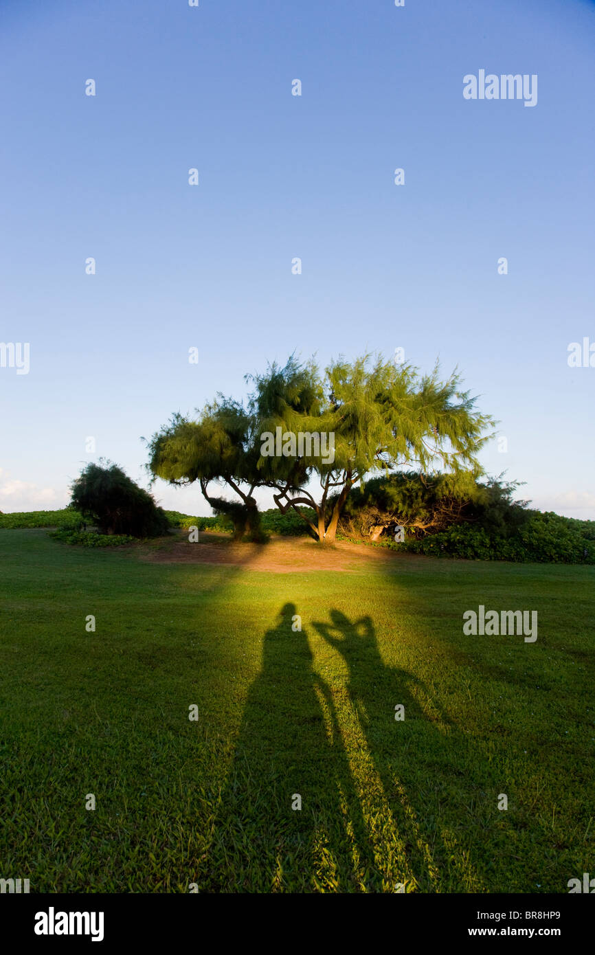 Shadow of two people sitting on chair, copy space Stock Photo - Alamy