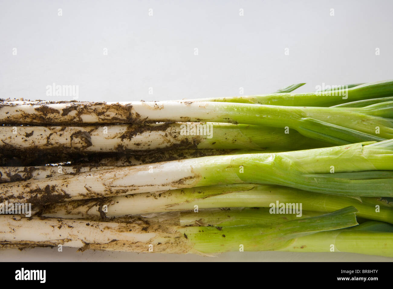 Spring Onions, close up, white background Stock Photo - Alamy