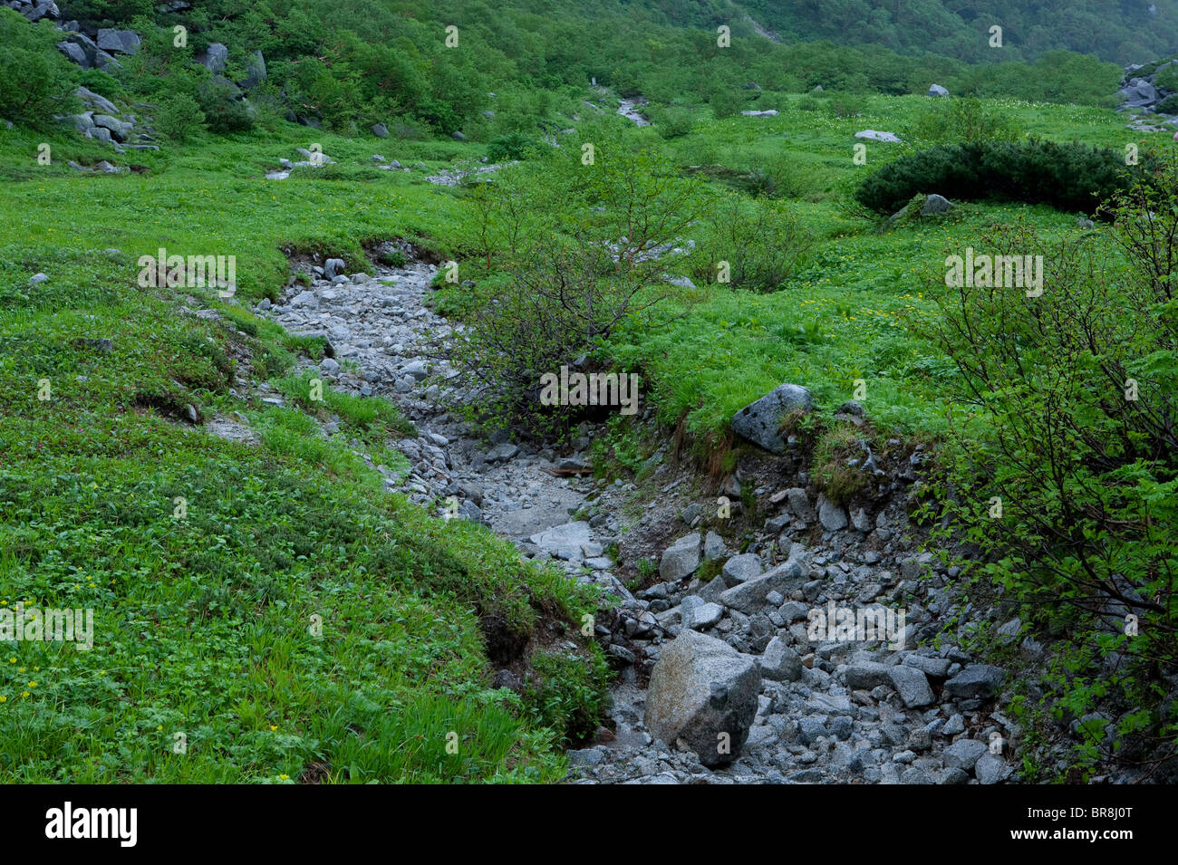 Field in rain Stock Photo - Alamy