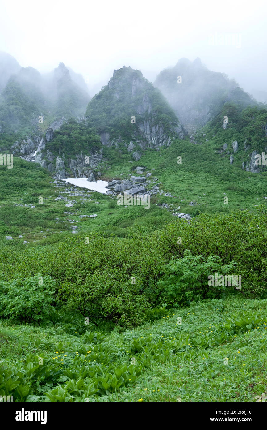 Field of rain hi-res stock photography and images - Alamy