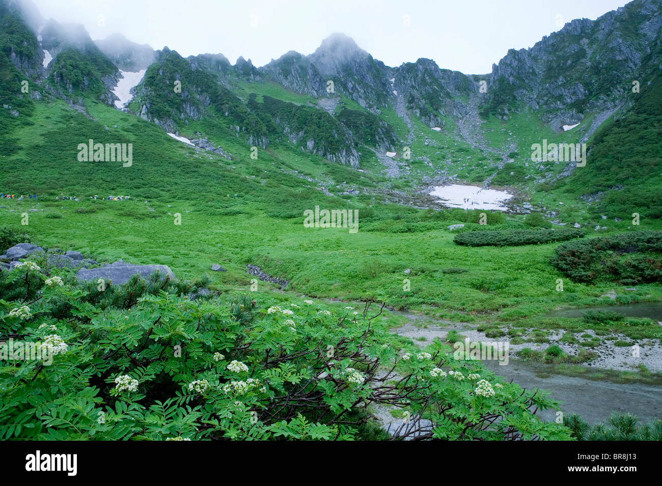 No lingering hi-res stock photography and images - Alamy