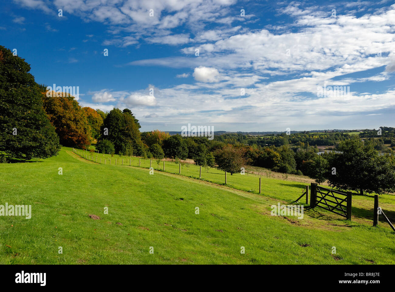 shipley country park england uk Stock Photo - Alamy