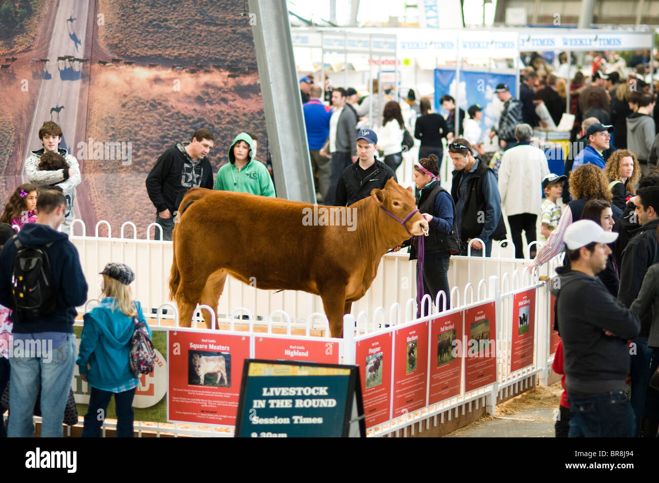 Melbourne showgrounds australia hi-res stock photography and images - Alamy
