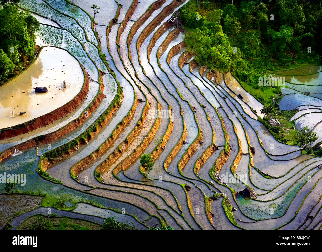 Terraced valley tiered cultivation hi-res stock photography and images ...