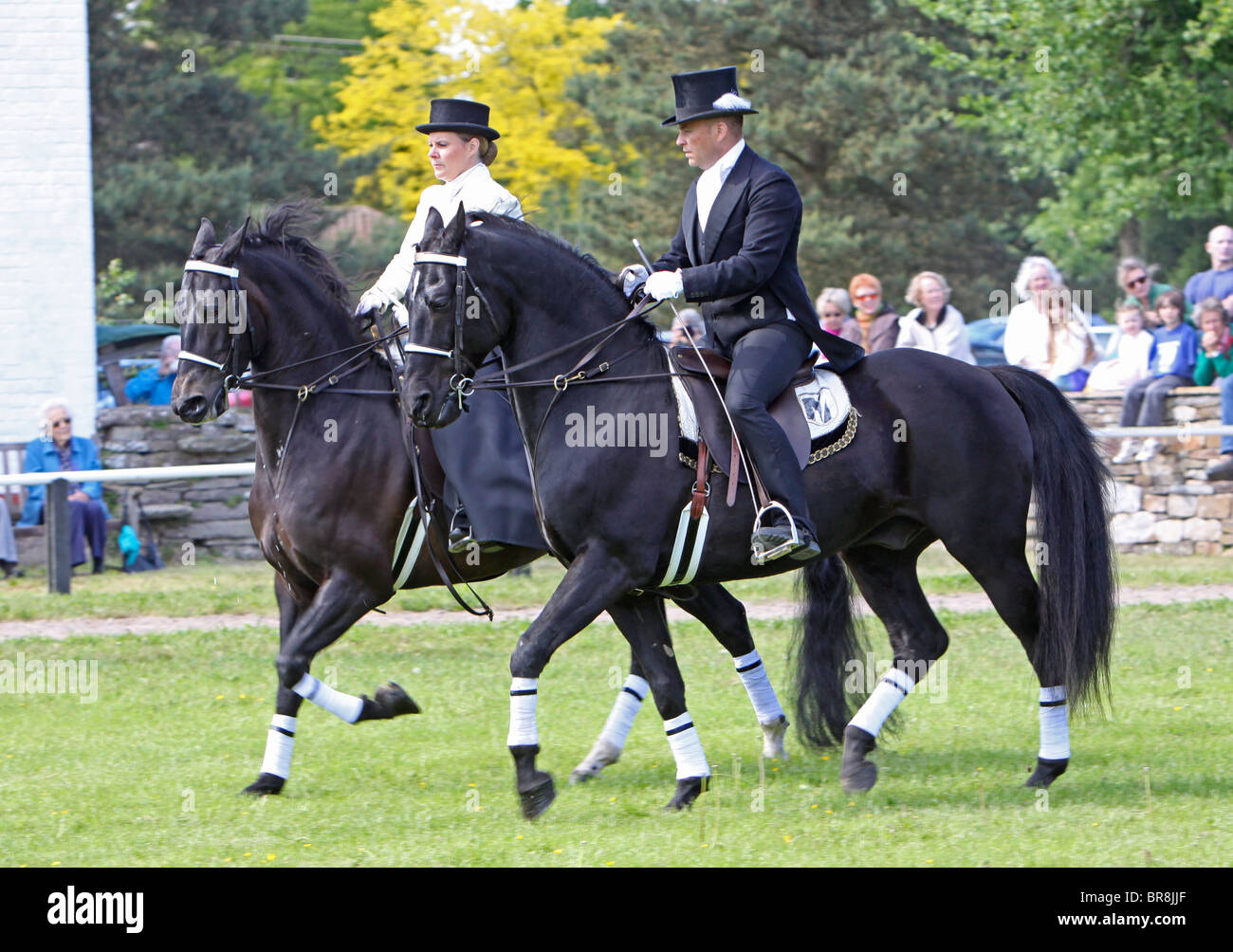 Horse studs hi-res stock photography and images - Alamy