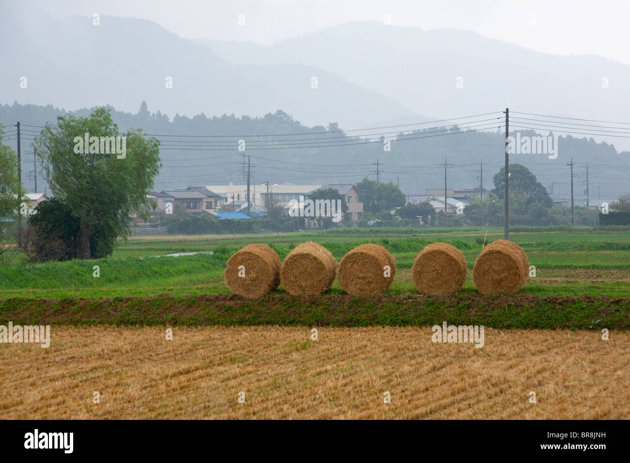 Hay row hi-res stock photography and images - Alamy