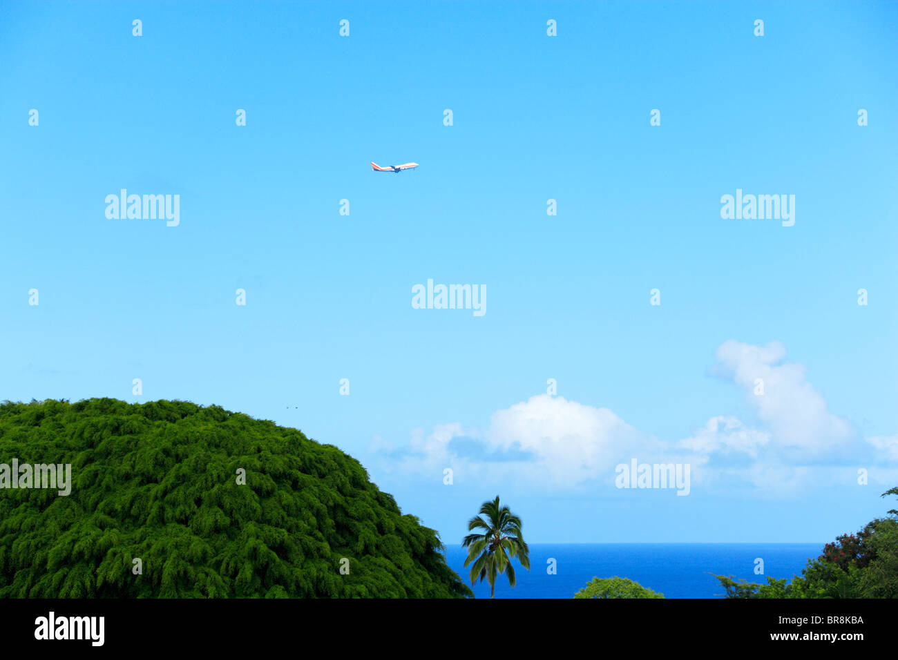 Airplane Flying Over Tropical Rainforest, Hawaii, USA Stock Photo - Alamy