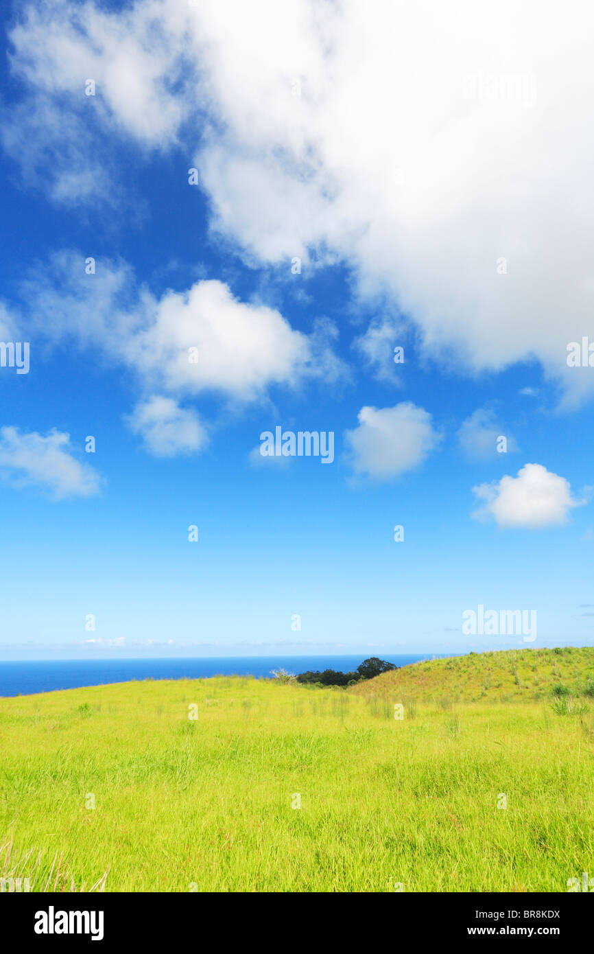 Sea Grass Field High Resolution Stock Photography and Images - Alamy