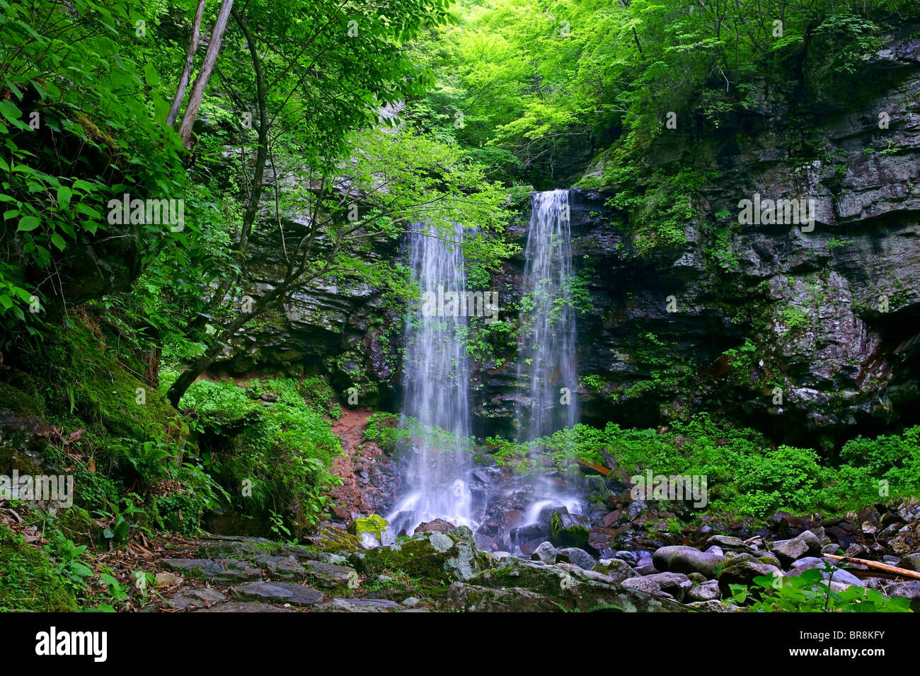 Meoto hi-res stock photography and images - Alamy