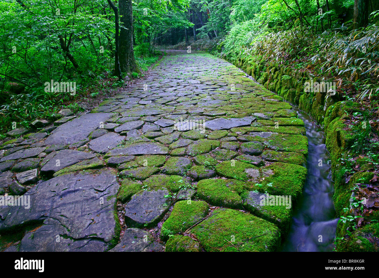 Cobblestone footpath in Ochiai Stock Photo - Alamy