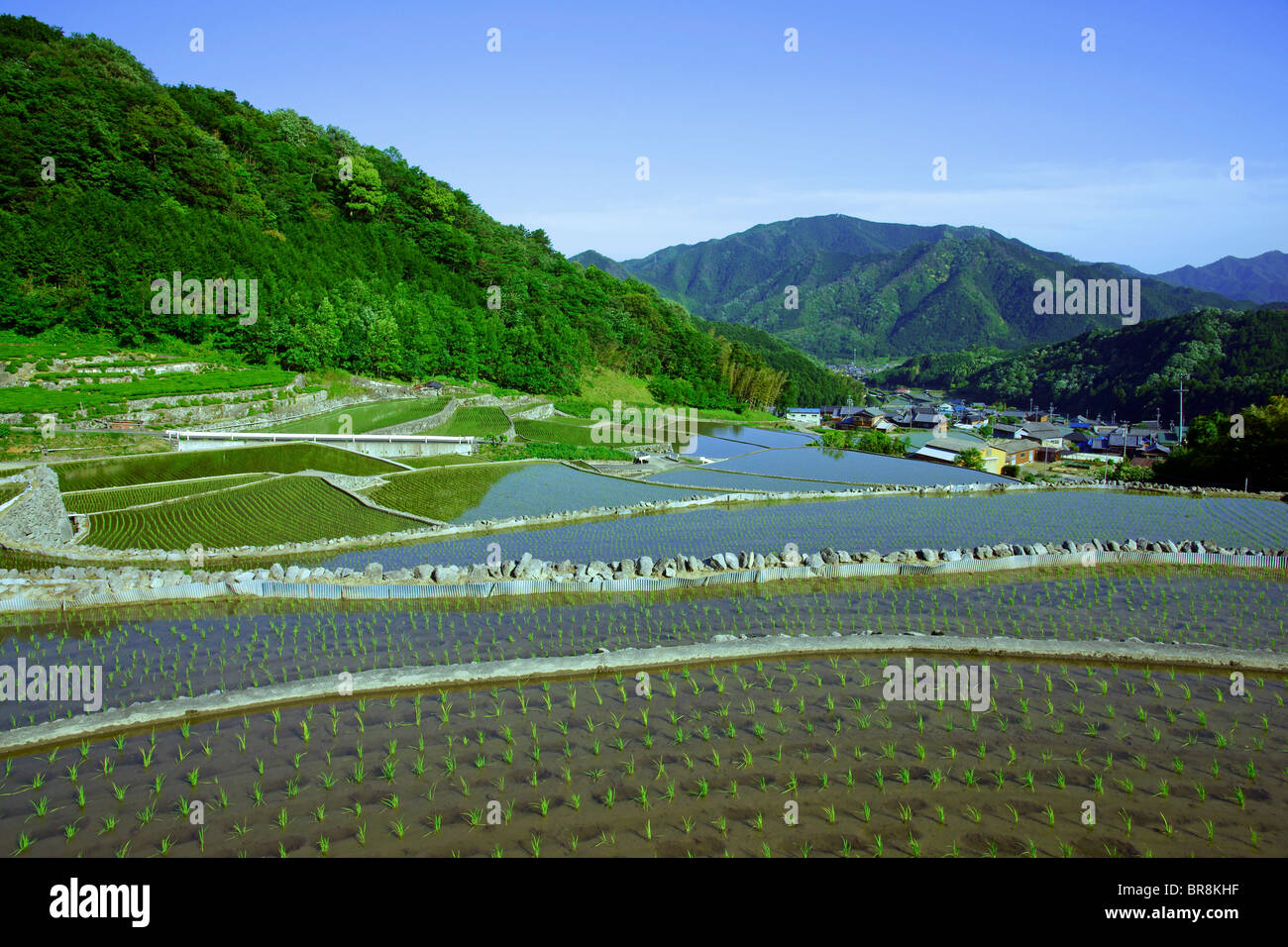 Fukano rice terraces Stock Photo - Alamy