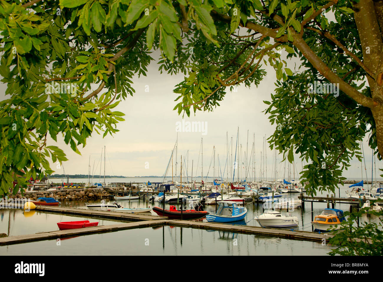 Early morning at Ballen harbour at Samsoe Denmark Stock Photo - Alamy