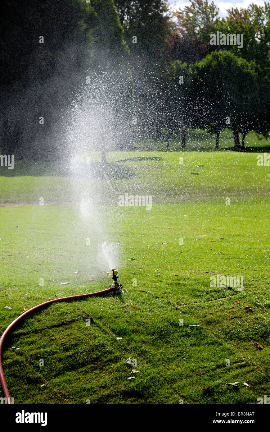 water sprinkler on a uk golf course Stock Photo - Alamy