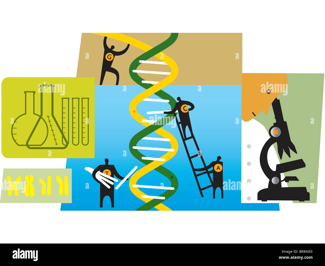 Group of people building dna Stock Photo - Alamy