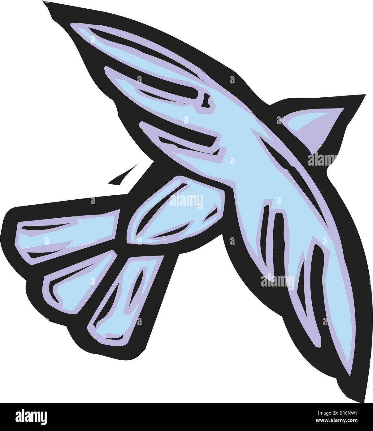 Dove drawing hi-res stock photography and images - Alamy