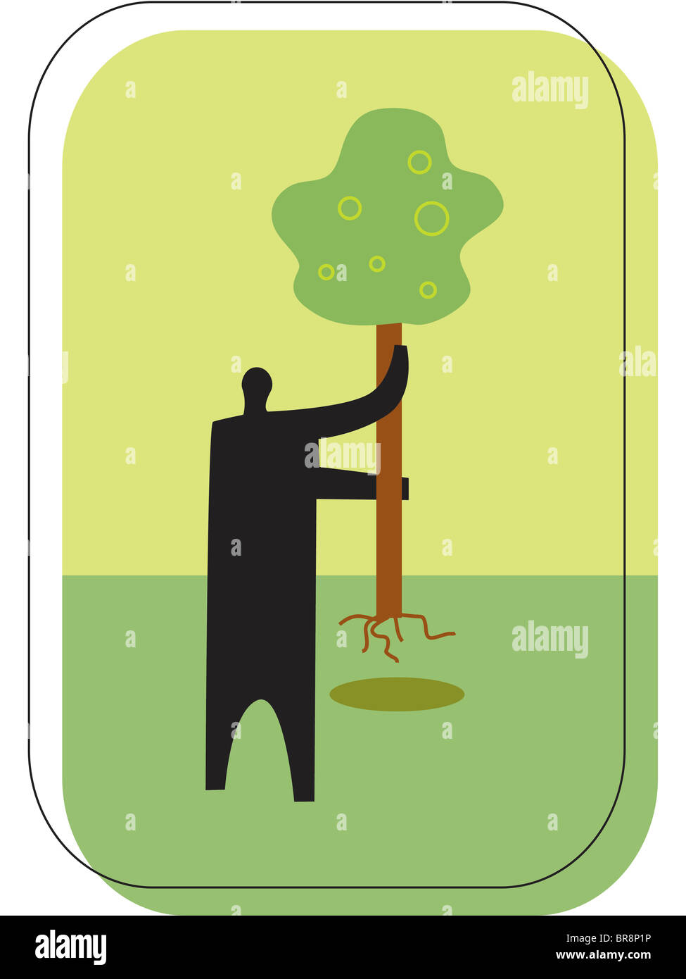 Man planting a tree Stock Photo - Alamy