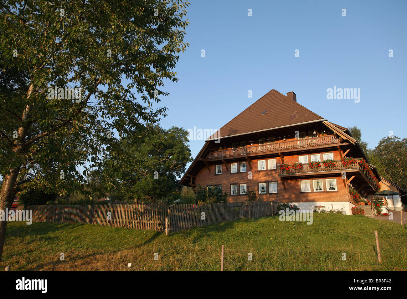 Black Forest Farm House, Breitnau, Baden-Wurttemberg, Germany Stock ...