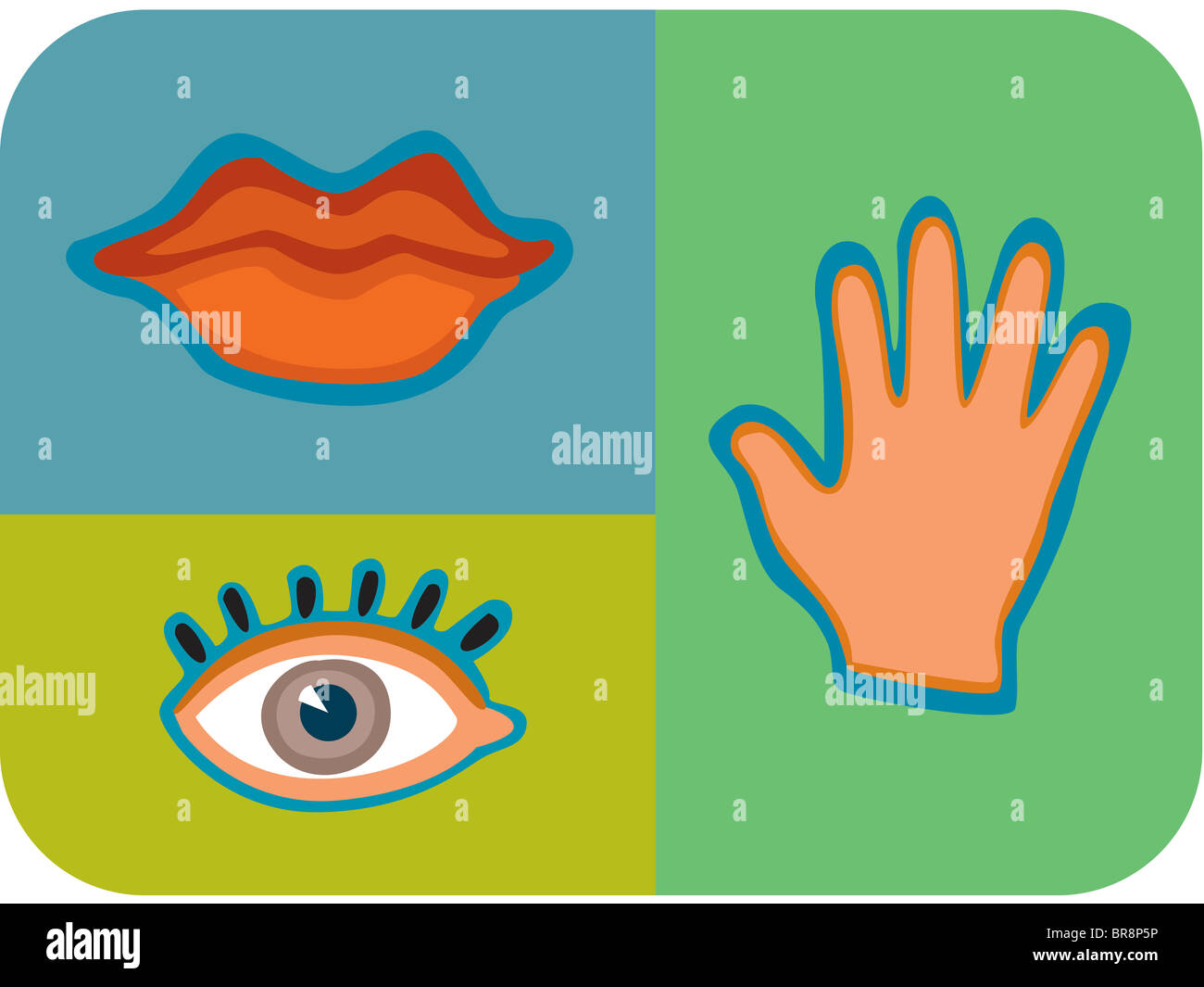 Illustration of senses of touch hi-res stock photography and images - Alamy