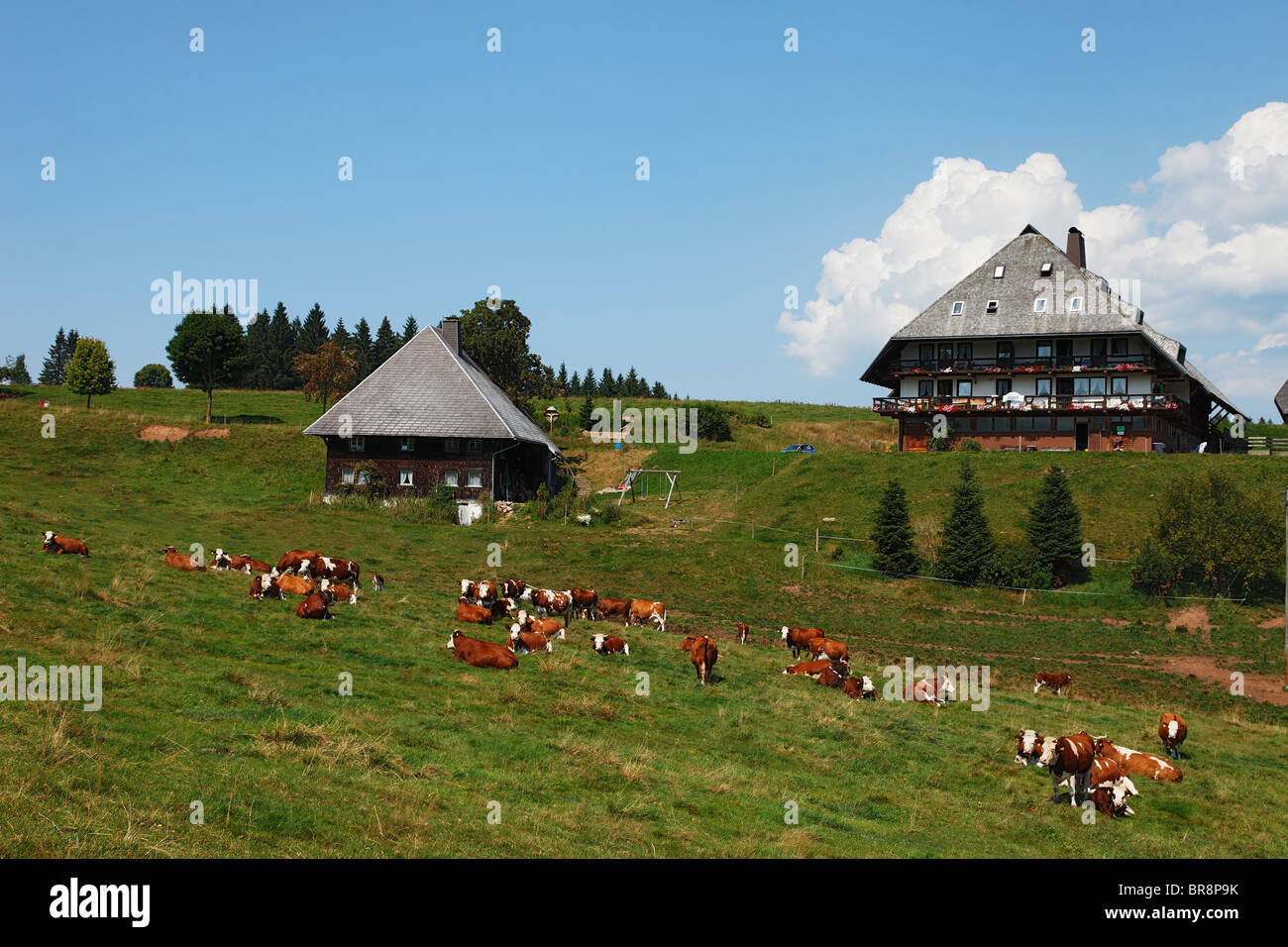 Black Forest farm, Jos Valley, Baden-Wurttemberg, Germany Stock Photo ...