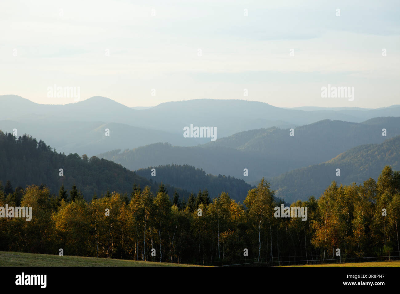 Wolfach Black Forest Germany High Resolution Stock Photography and ...