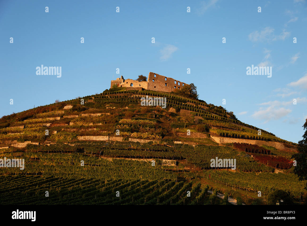 Staufen castle, Staufen im Breisgau, Baden-Wurttemberg, Germany Stock ...