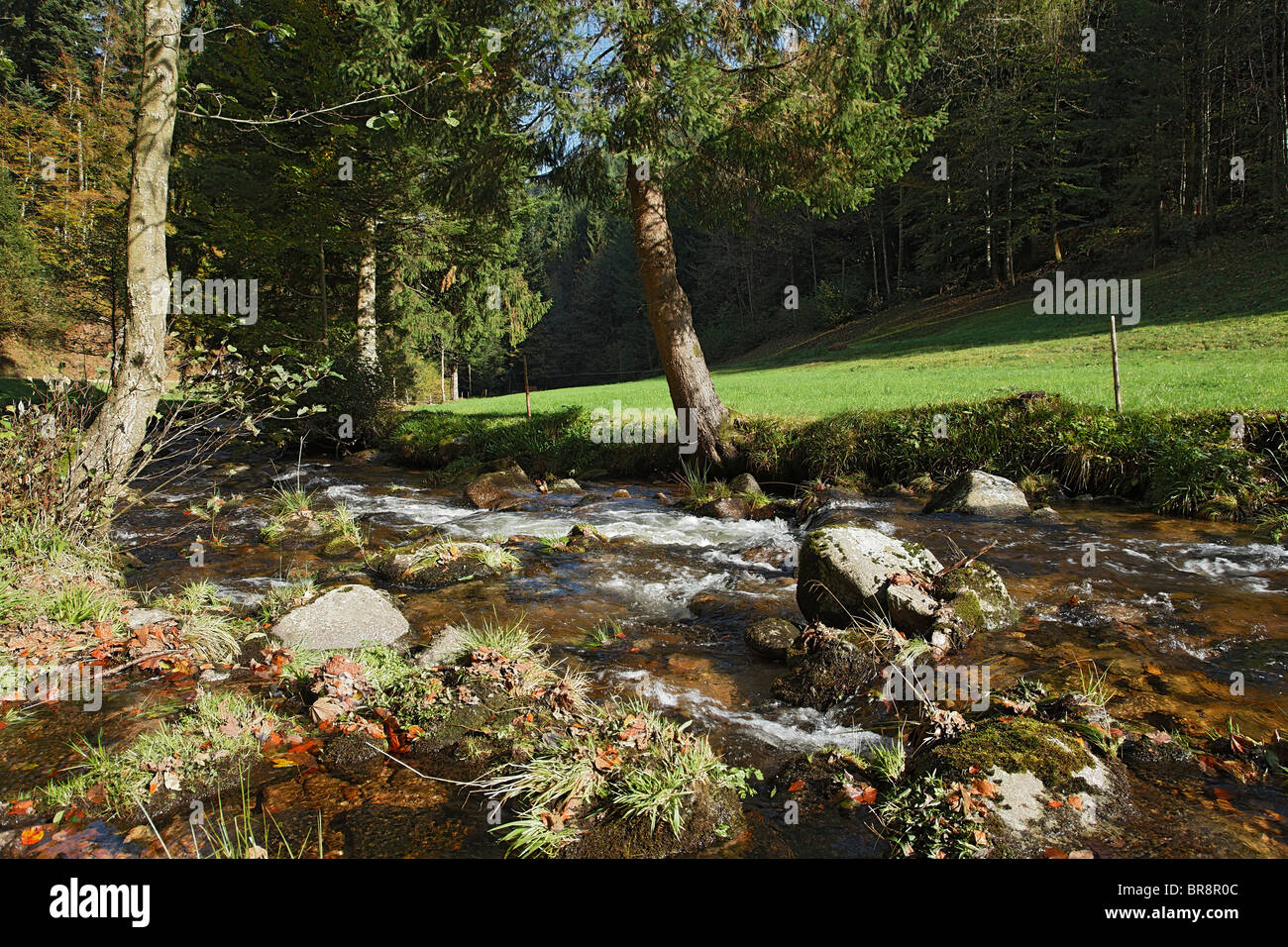 Elzach hi-res stock photography and images - Alamy