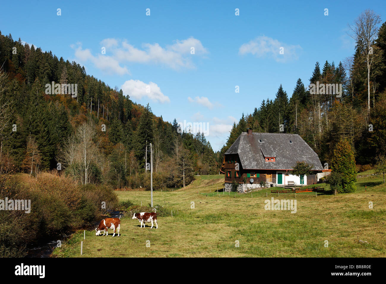 Black forest farm, Hinterprechtal, Elzach, Baden-Wurttemberg, Germany ...