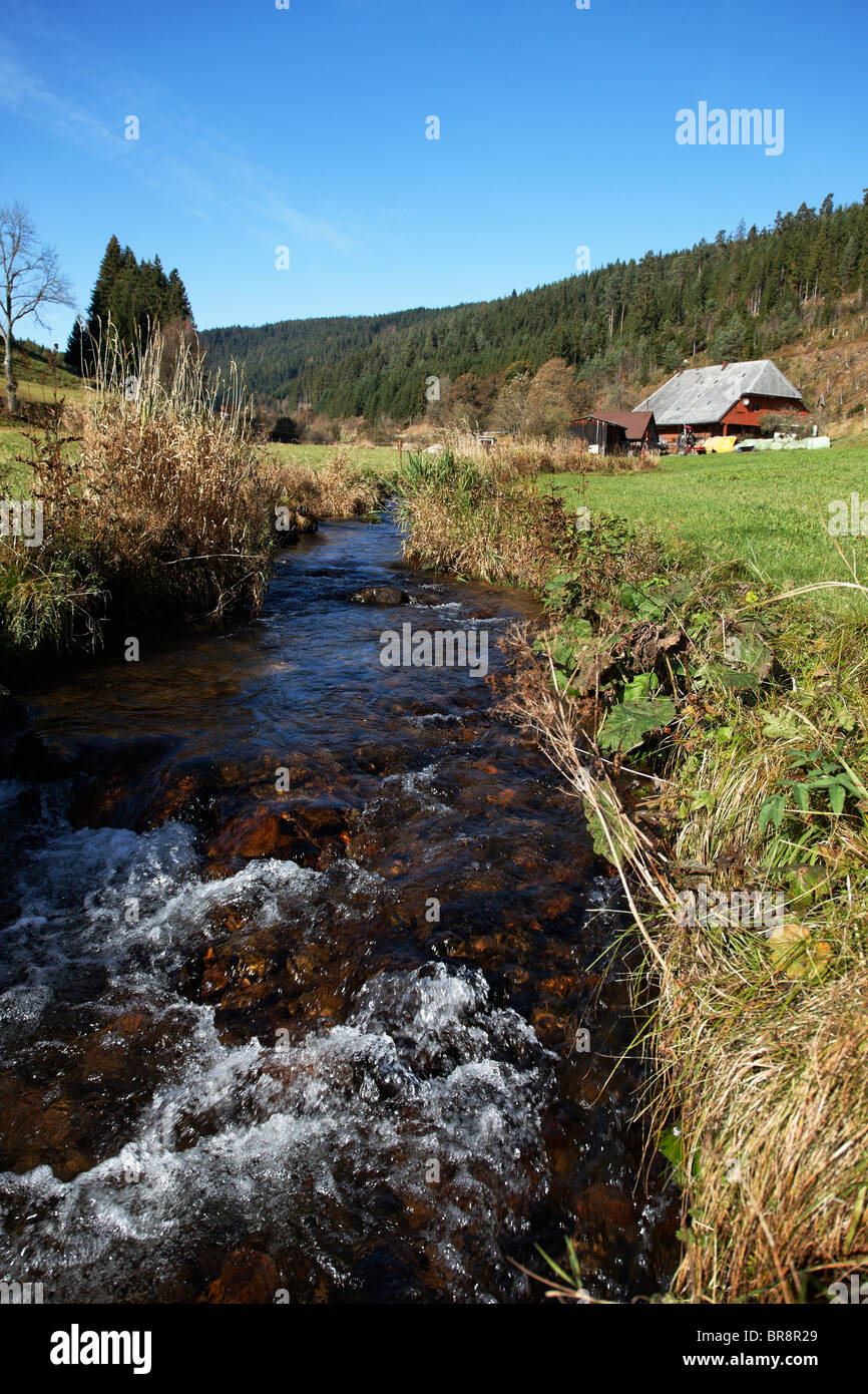Black Forest Farm in Urach Valley, Furtwangen, Baden-Wurttemberg ...