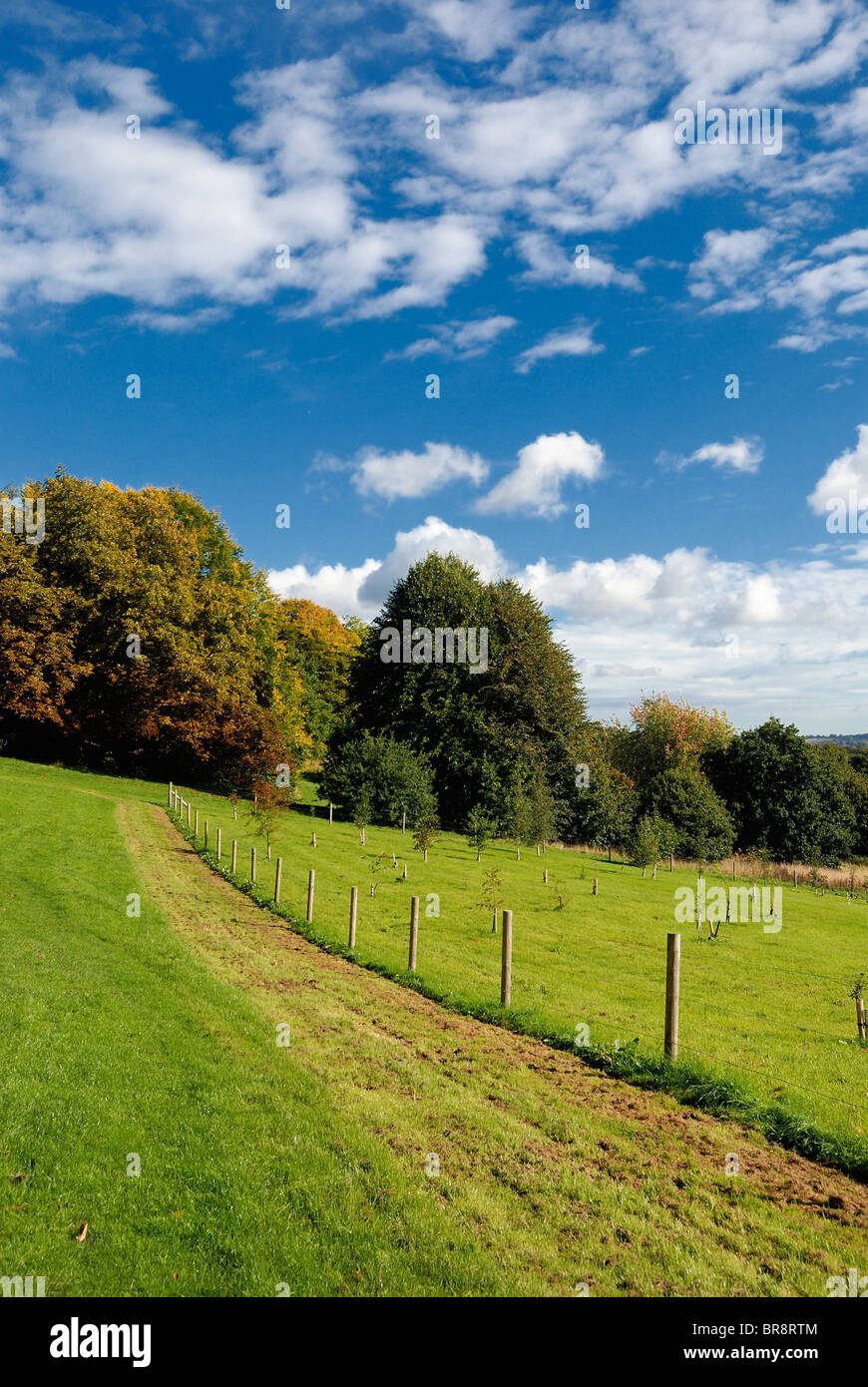 shipley country park england uk Stock Photo - Alamy