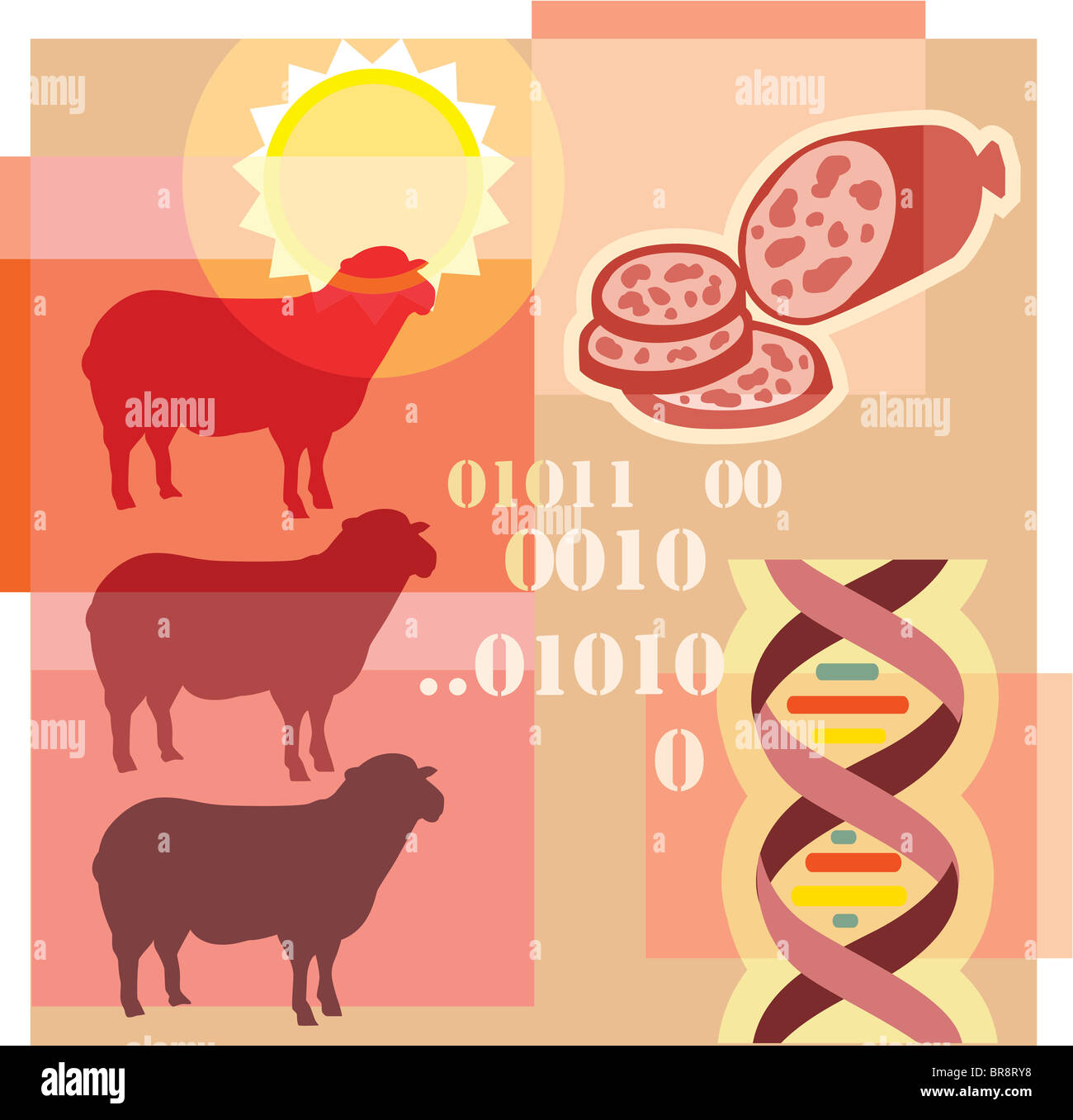 Montage illustration about cloning containing sheep, binary code, DNA ...