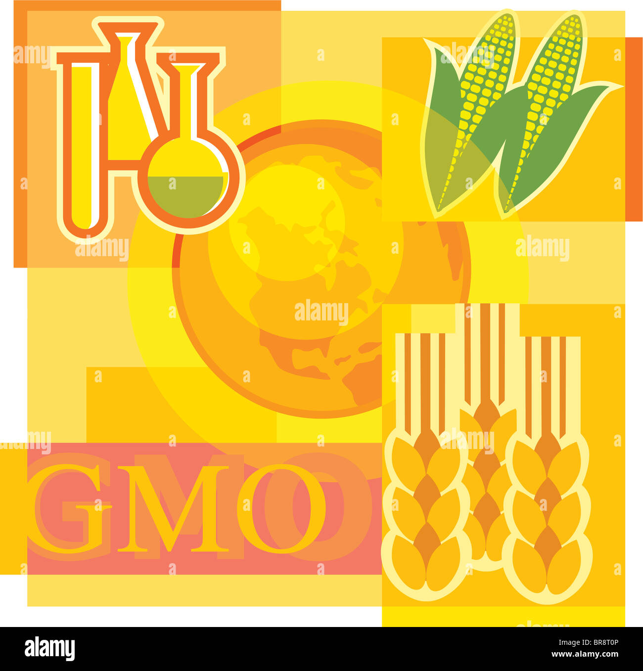 Genetically Modified Organisms Poster