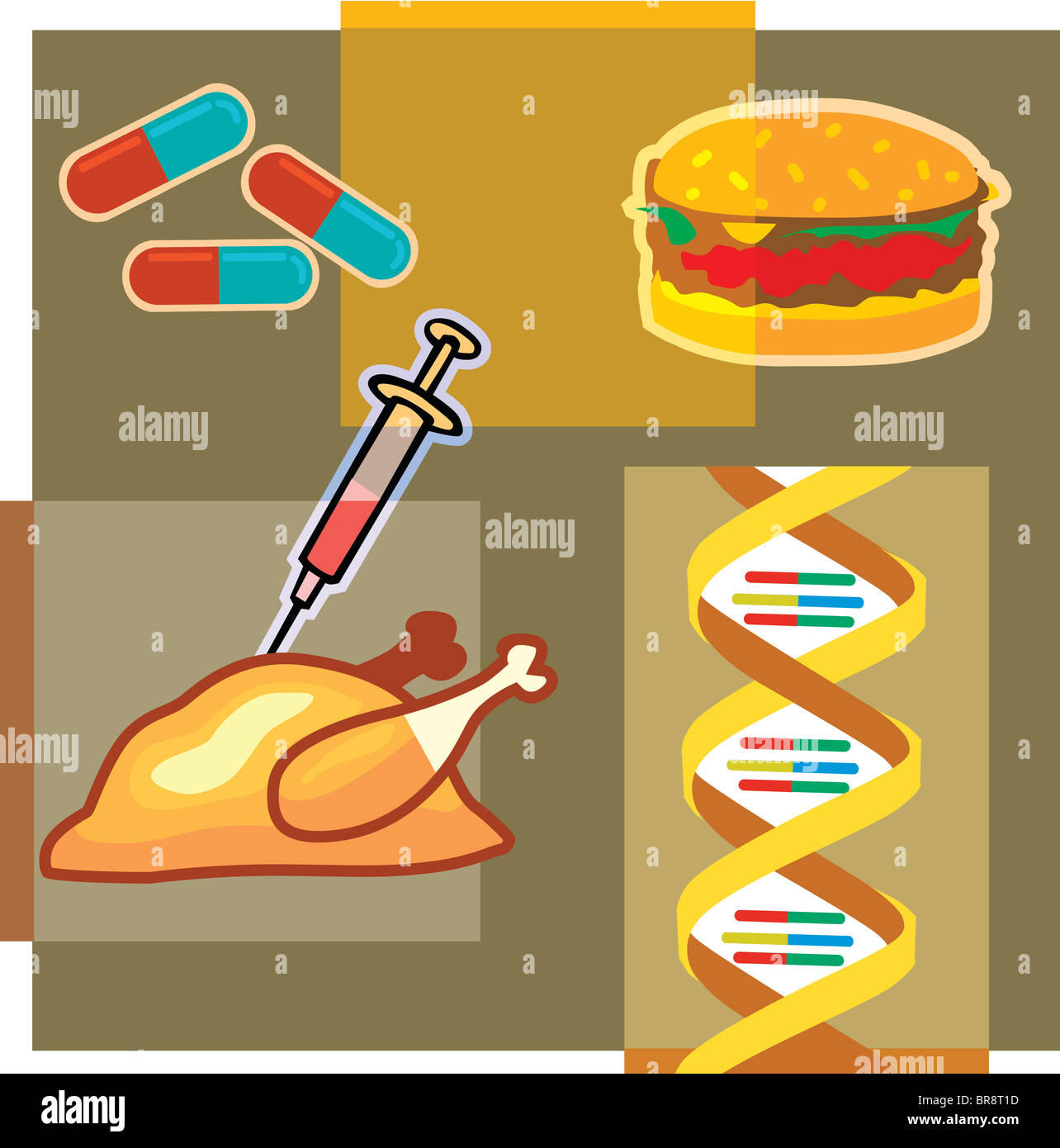 Montage illustration about genetically modified meat containing a ...