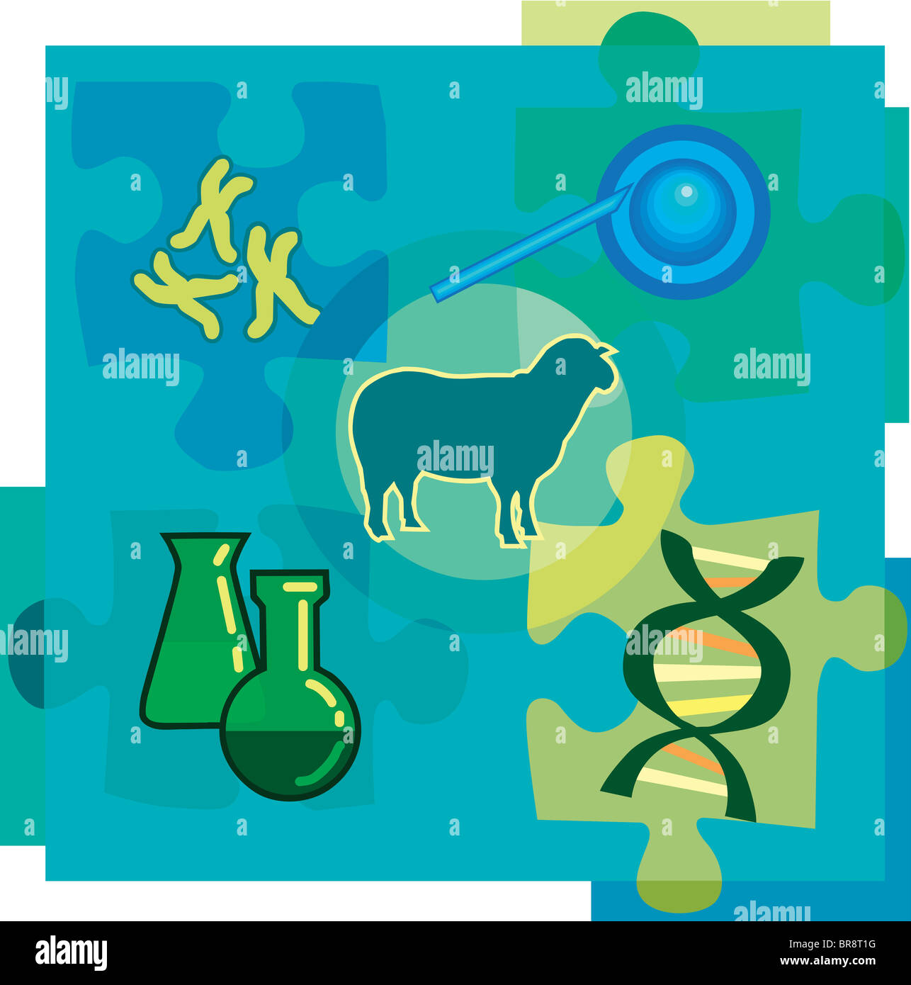 Montage illustration about genetic engineering containing chromosomes ...