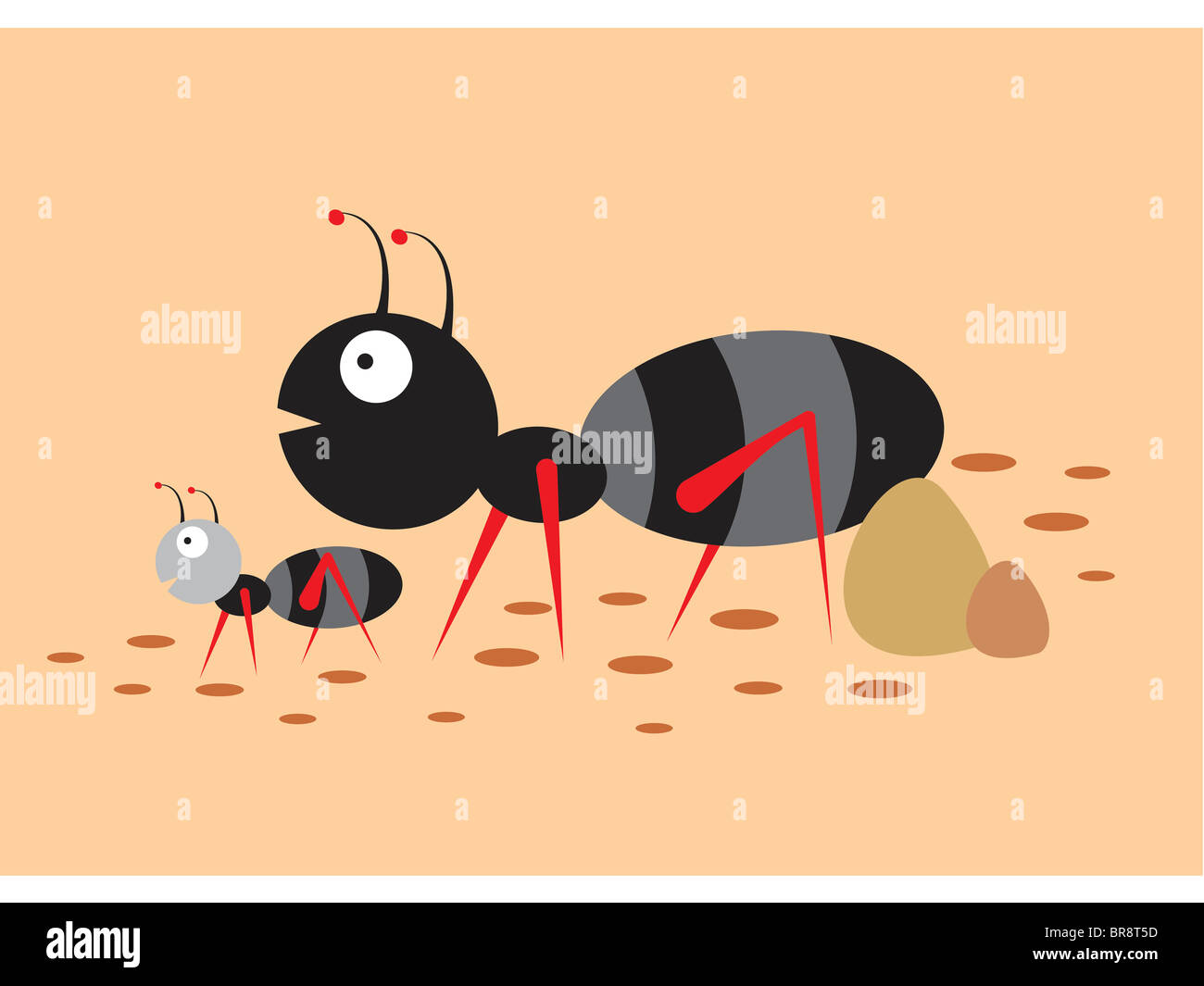 Pair of ants hi-res stock photography and images - Alamy