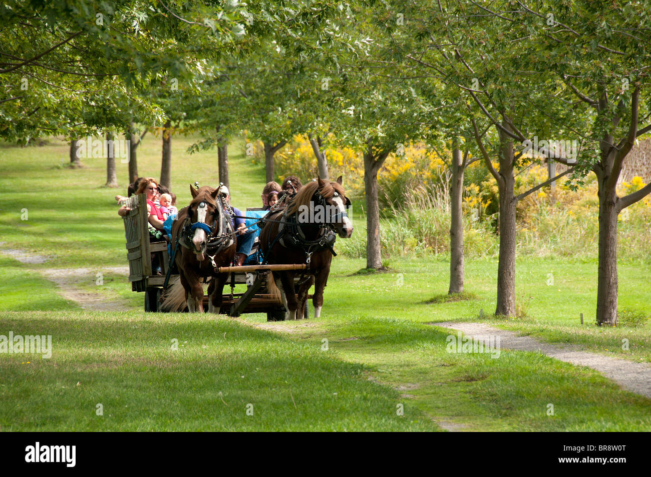 Hayride wagon hi-res stock photography and images - Alamy