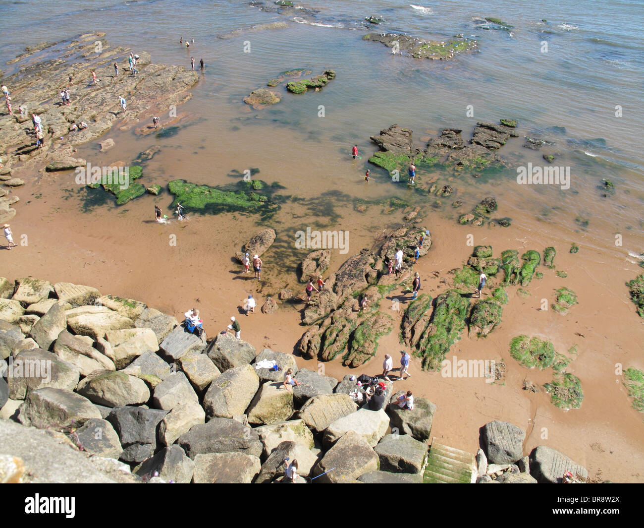 Rock pools and holiday makers at Sidmouth from Jacobs Ladder on a fine ...
