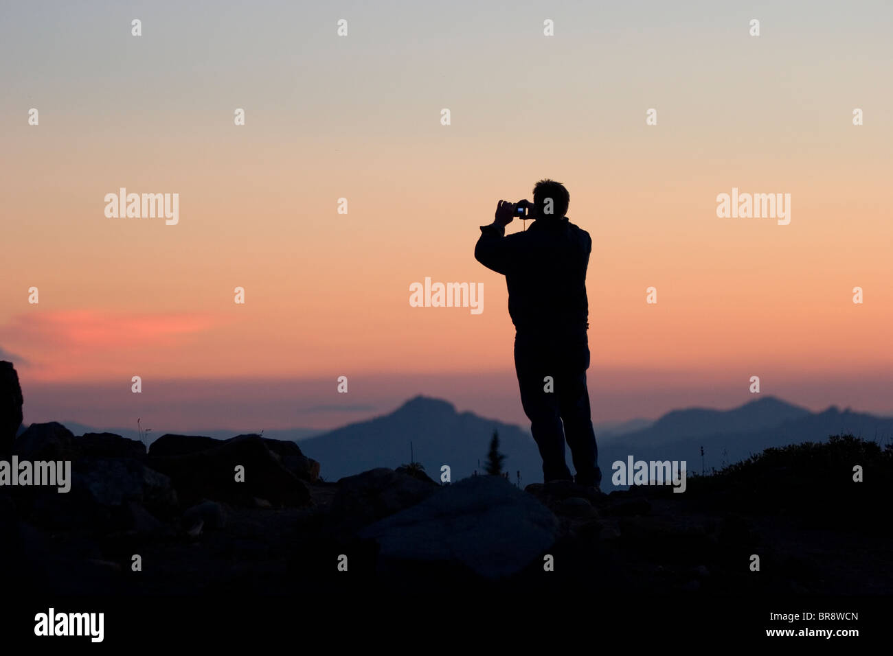 Young man hiking in Mount Rainier National Park WA Stock Photo - Alamy
