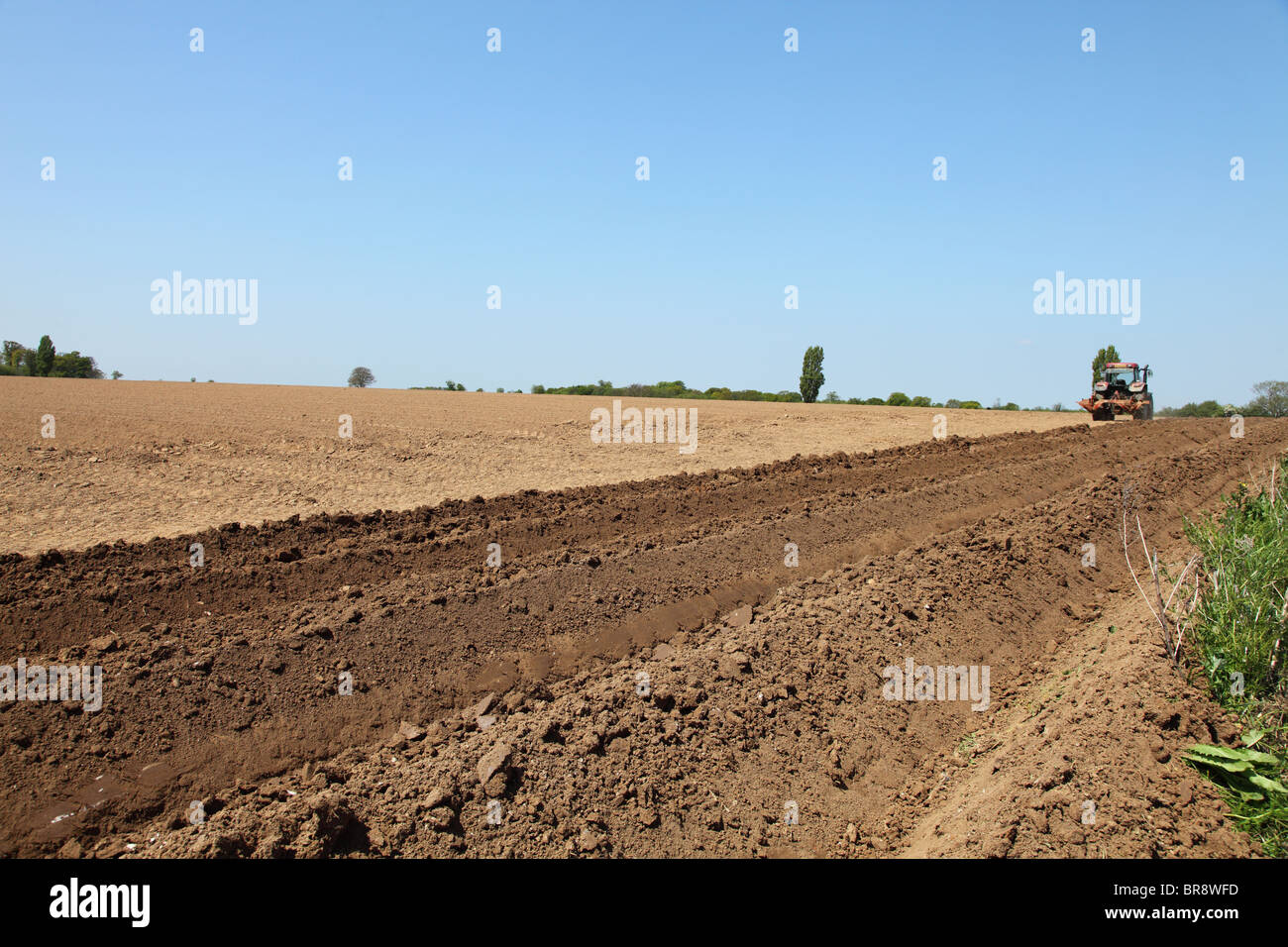 Farrow farm hi-res stock photography and images - Alamy