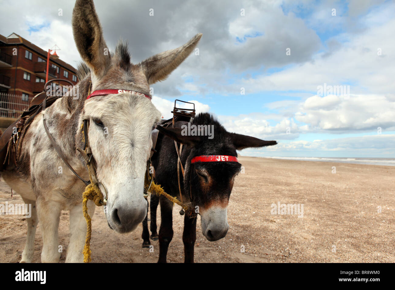 British seaside hi-res stock photography and images - Alamy