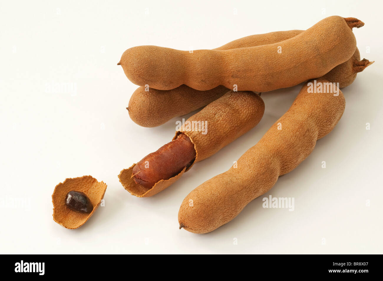 Tamarind (Tamarindus indica). Whole and opened pods, studio picture ...