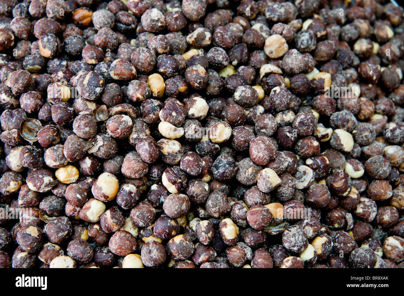 A pile of freshly roasted salted and shelled Macadamia nuts Stock Photo ...