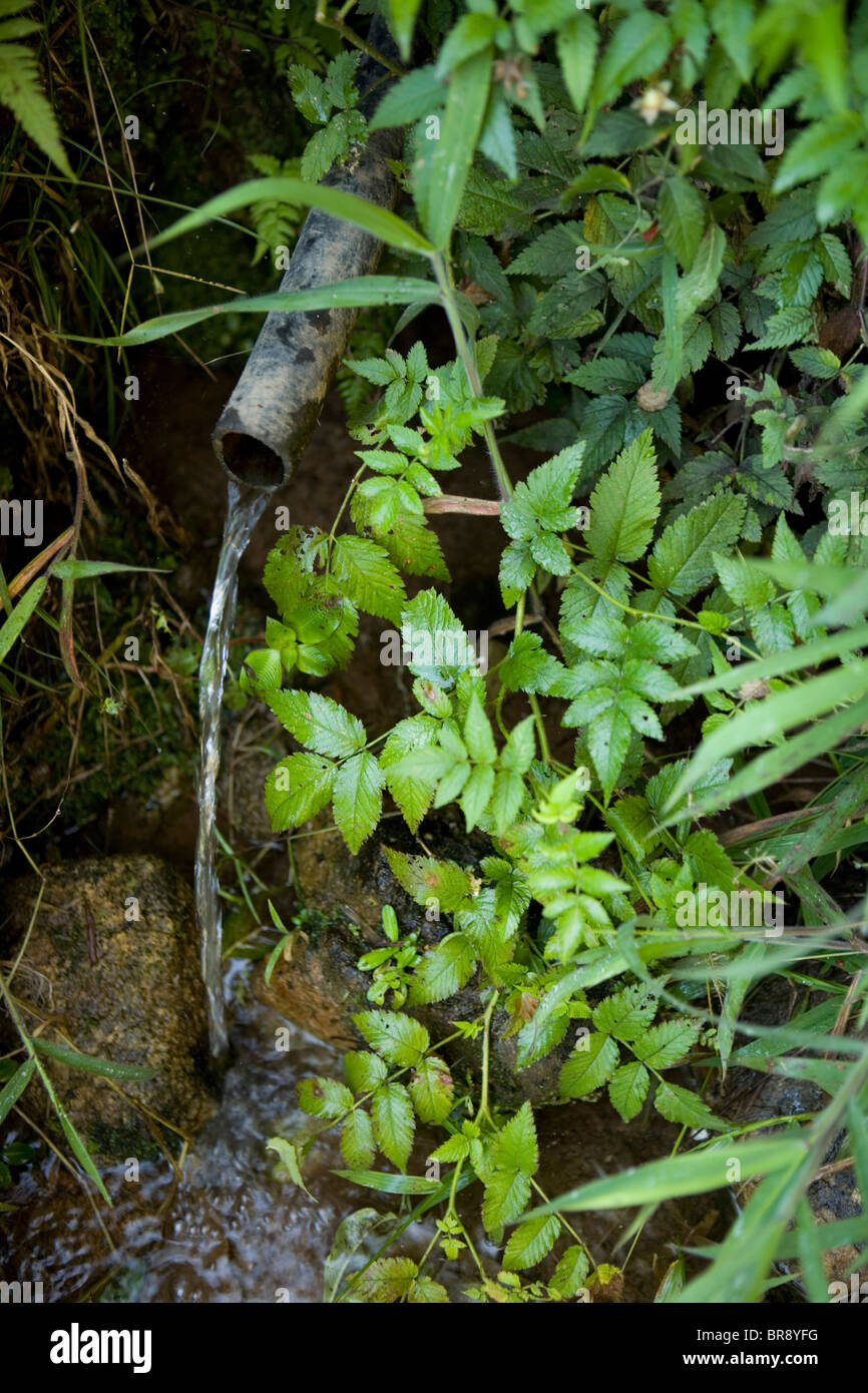 Sao Paulo's watershed Brazil Stock Photo - Alamy