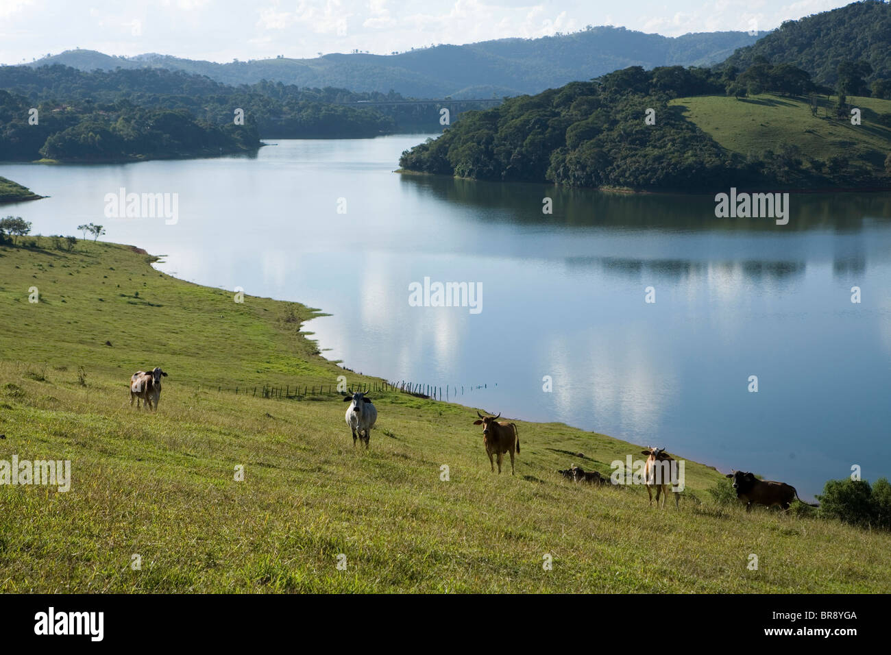 Sao Paulo's watershed Brazil Stock Photo - Alamy