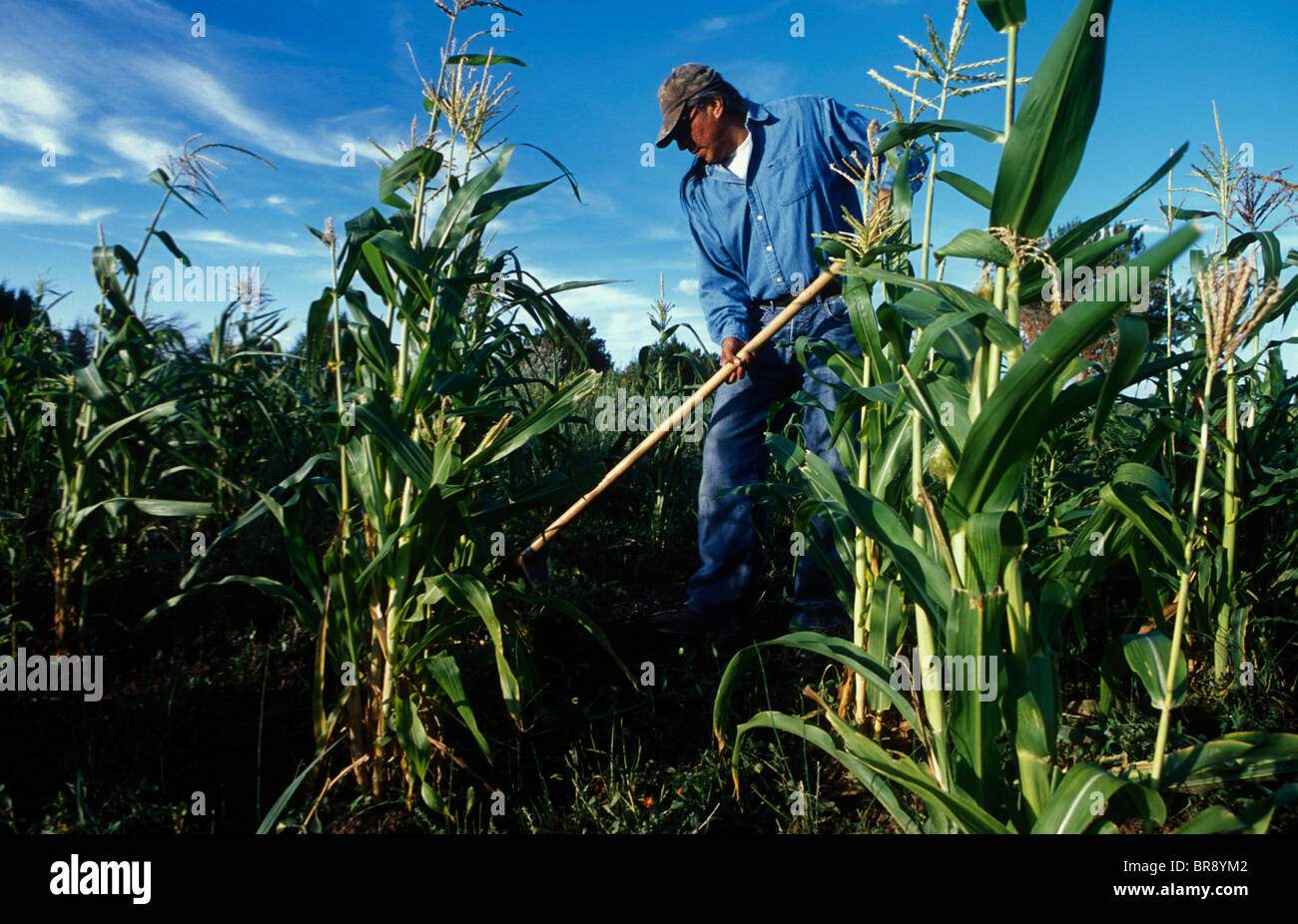 The Zuni Indians of New Mexico Stock Photo - Alamy