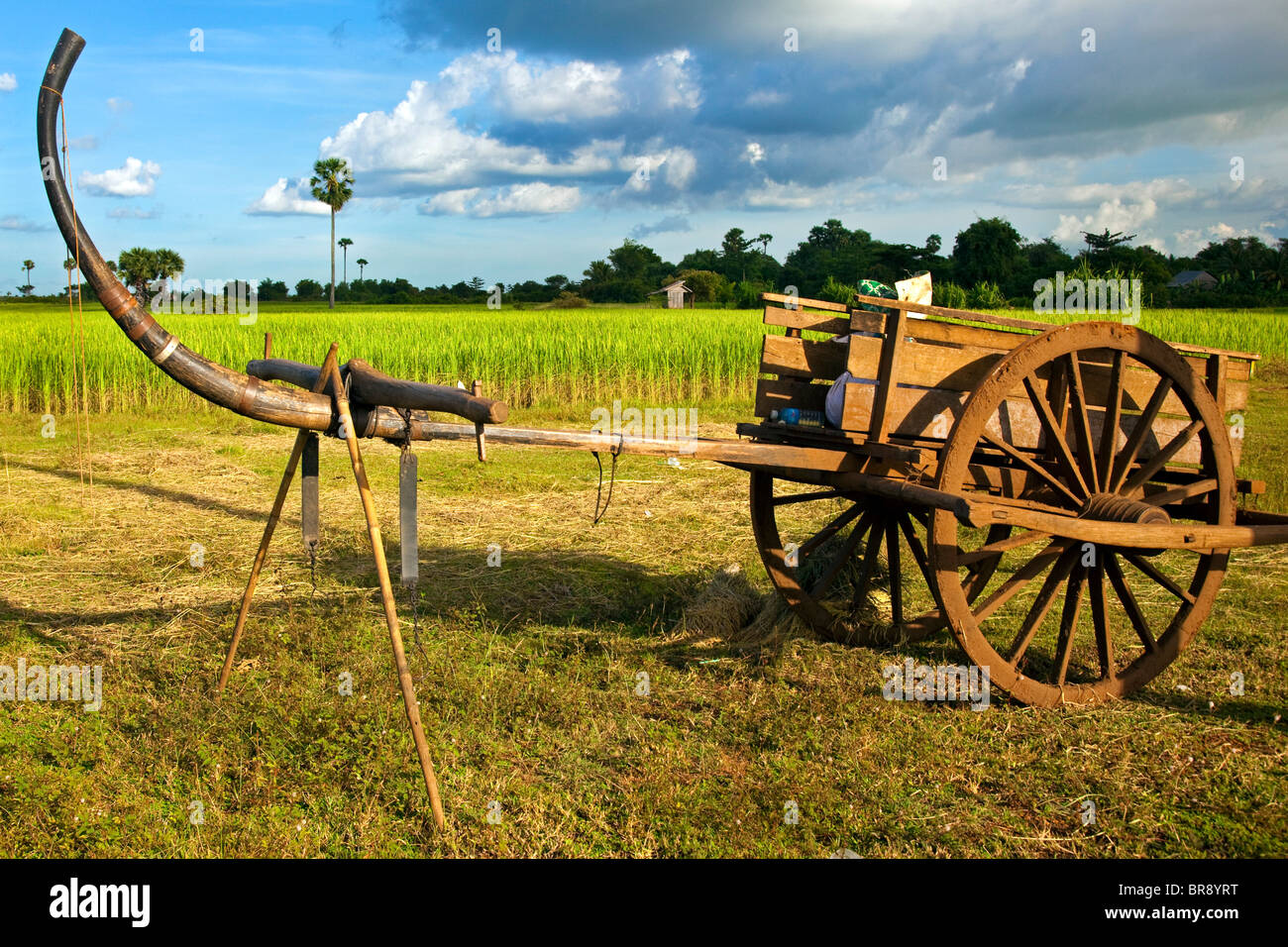 Farming in Cambodia Stock Photo - Alamy